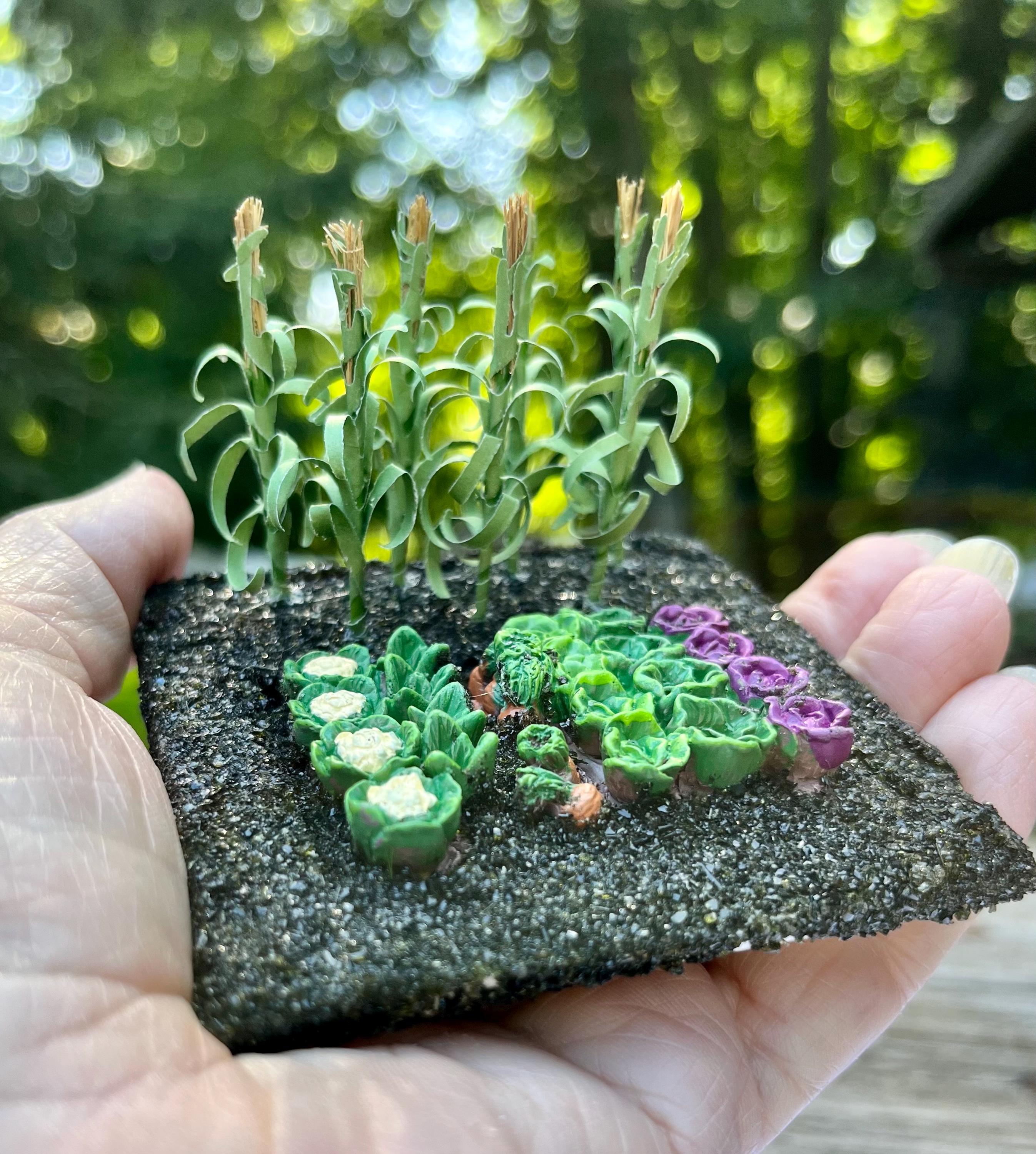 Miniature HO Scale Corn & Vegetable Garden - Dollhouse Fairy Garden - Etsy