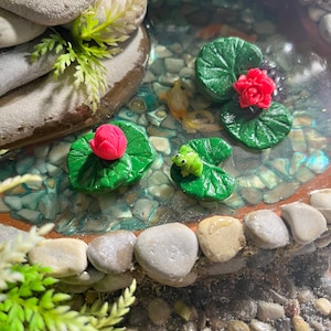 Miniature Lily Pads and Flowers, Lily Pads With Frogs, Lily Pads With ...