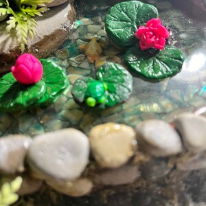 Miniature Lily Pads and Flowers, Lily Pads With Frogs, Lily Pads With ...