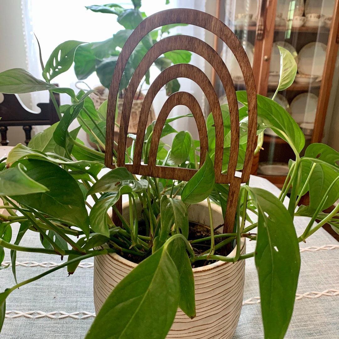 Plant Trellis, Rainbow Trellis, Plant Decor, Wood Trellis. - Etsy