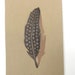 Feather #3,bird Feather,print,printmaking,linocut Print,polka Dot,brown ...