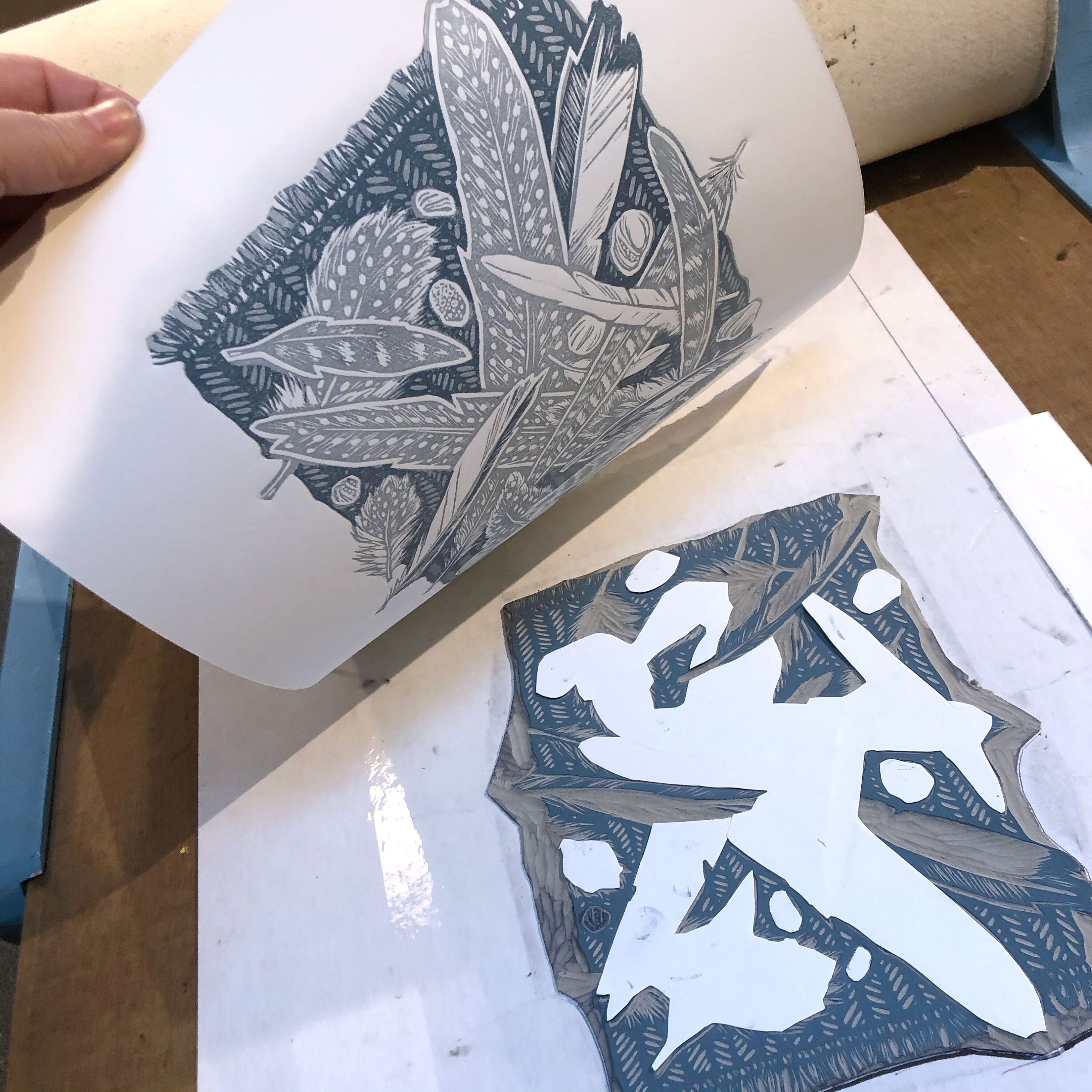 Patterns,feather Collection,ginny Feather,turkey Feather,nature Art ...