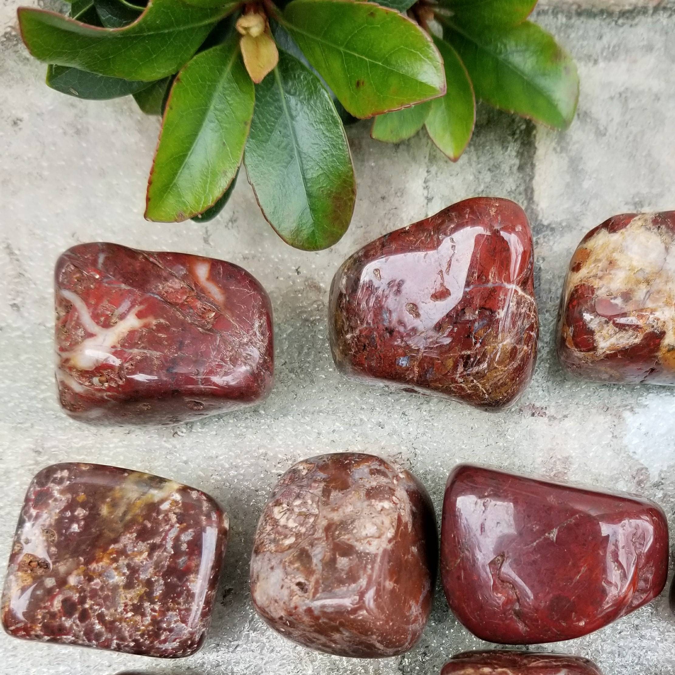 Jasper polish - inputdas