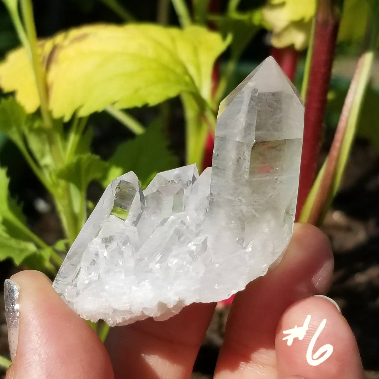 Brazilian High Grade Quartz Cluster / Beautiful Clear Quartz | Etsy