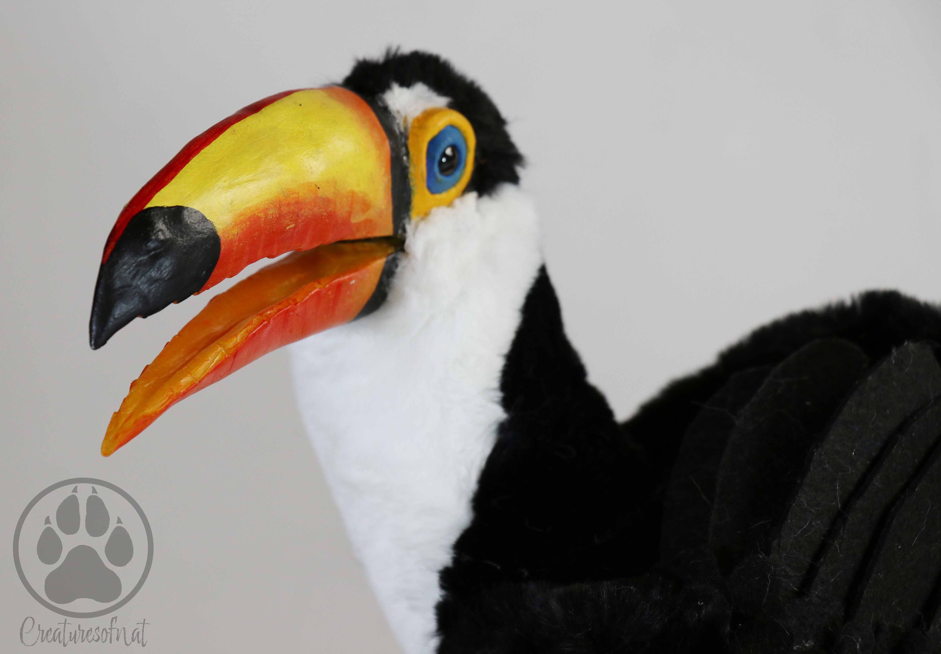 Toco Toucan Poseable Artdoll - Etsy