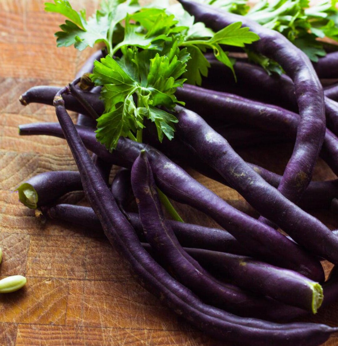 20+ Royal Burgundy Bush Type Green Beans Heirloom Home Kitchen ...