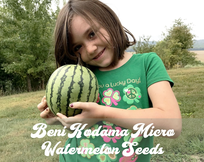 Beni Kodama Micro Watermelon Seeds - Etsy