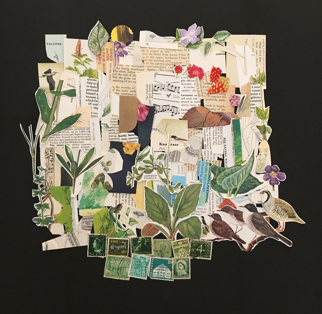 Unique Biology Snippets With Vintage Stamps and Bird Cutouts - Etsy