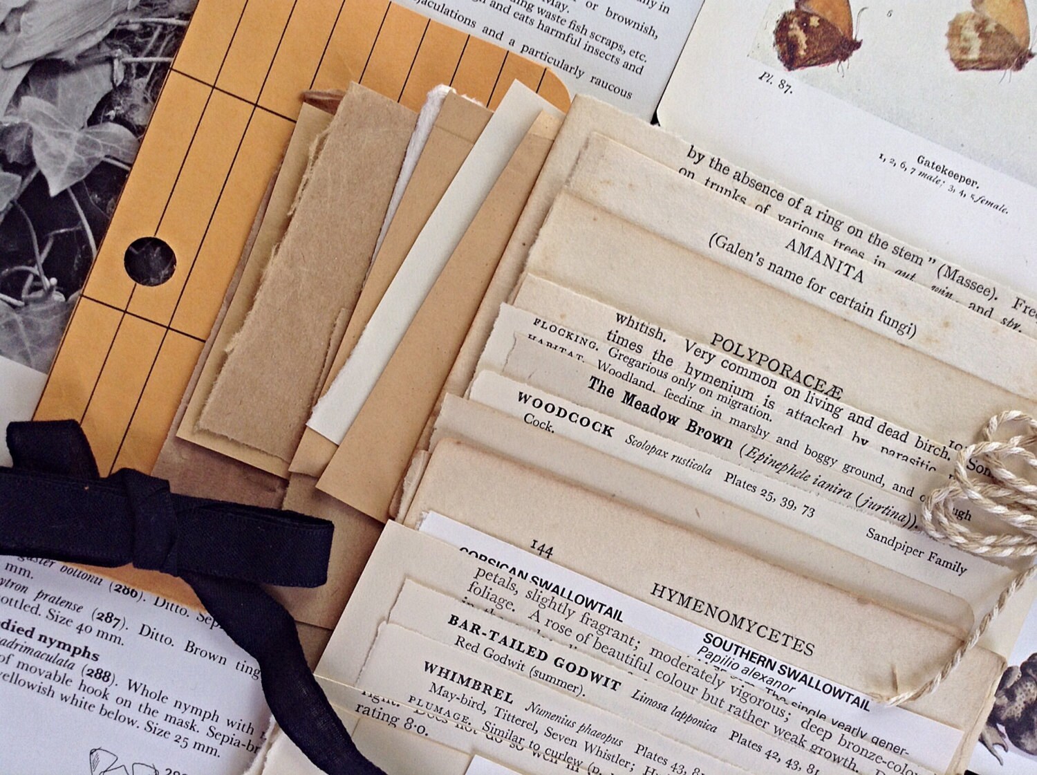 125 Neutral Toned Paper Ephemera Pack | Etsy UK