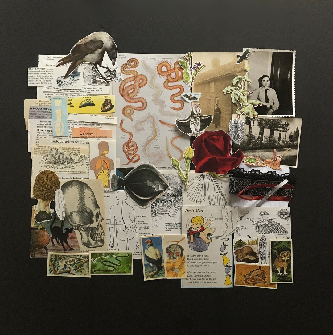 Unique Dark Curiosity / Macabre Ephemera Pack - Etsy