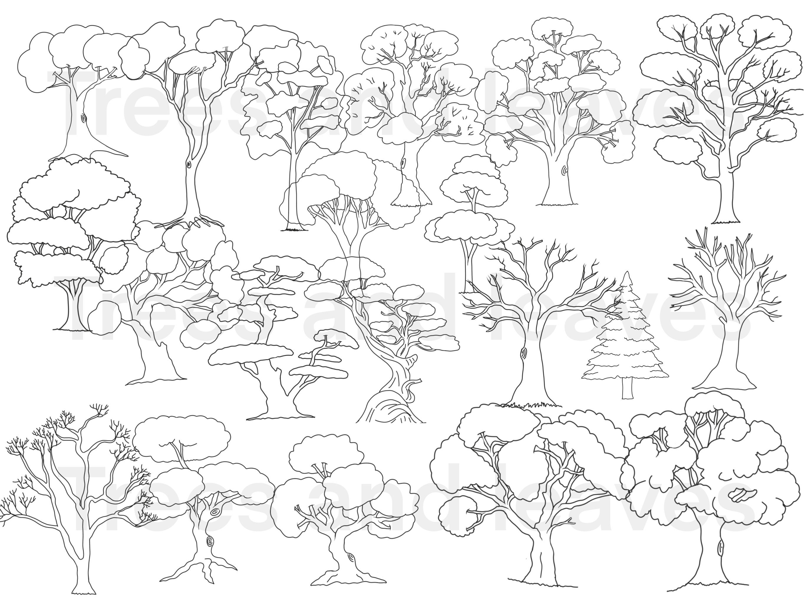 25 Tree Stamps line Art Stamp and Colour Invitations - Etsy