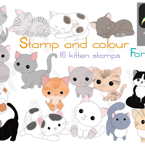 Cat Pose Sketch Stamps for Procreate | Etsy