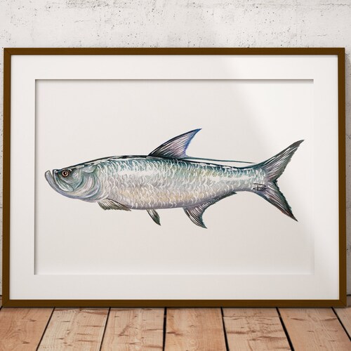 TARPON Watercolor Print Fish Art Painting by by Dean Crouser - Etsy