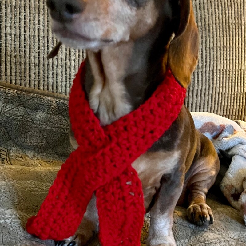 Knitted Dog Scarf - Etsy