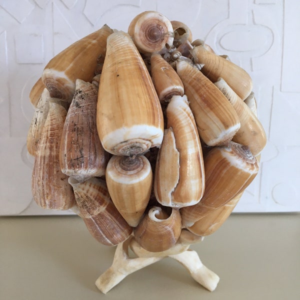 Oyster Shell Ball - Etsy