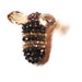 Queen Bee Crystal Beaded Bee - Etsy