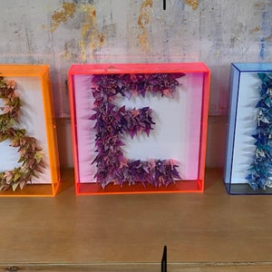 Acrylic Frame NEON Colors Shadow Box CUSTOM Sizes Pink, Blue, Orange ...