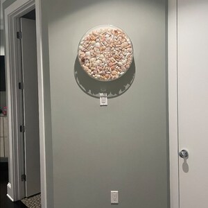 Round Acrylic Circle Frame, Clear Floating Display, Custom Size Wall ...
