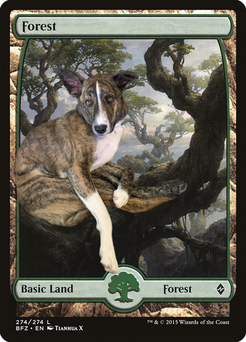 Personalized Pet Magic the Gathering Foil Land - Etsy