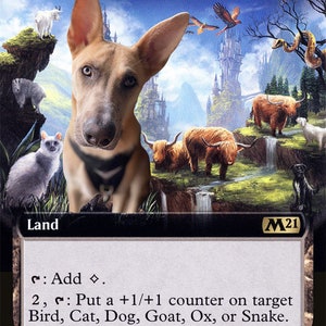 Personalized Pet Magic the Gathering Foil Land - Etsy