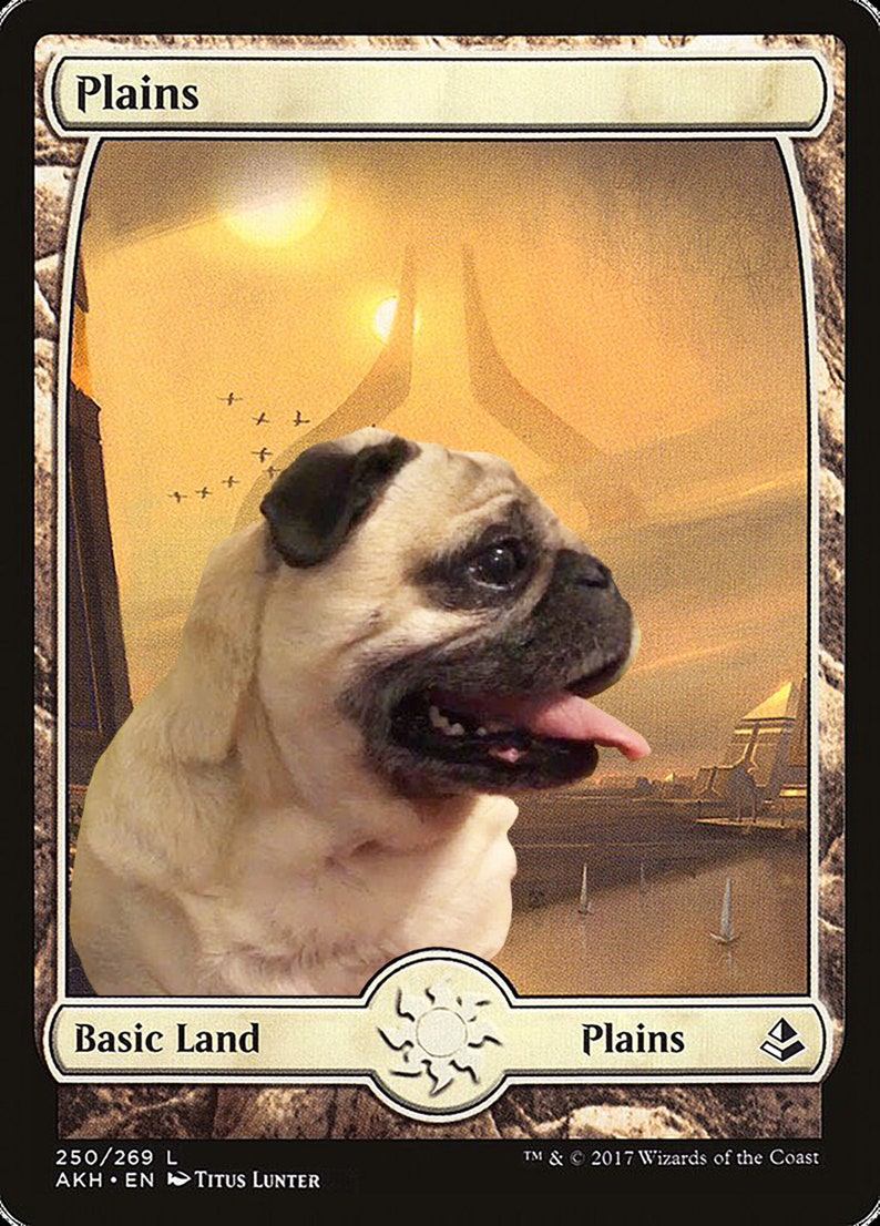 Personalized Pet Magic the Gathering Foil Land - Etsy