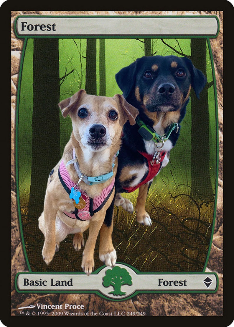 Personalized Pet Magic the Gathering Foil Land - Etsy