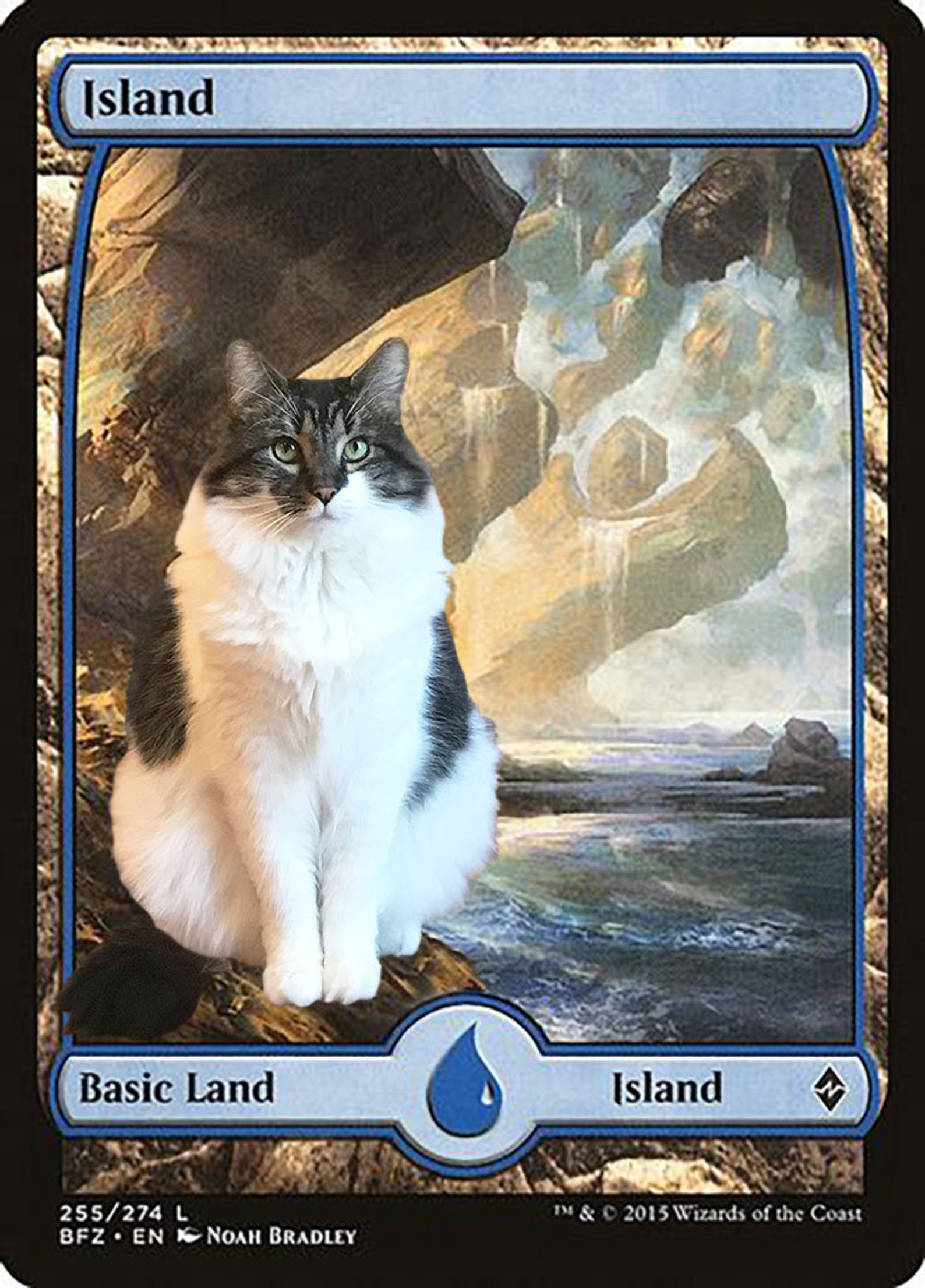 Personalized Pet Magic the Gathering Foil Land - Etsy