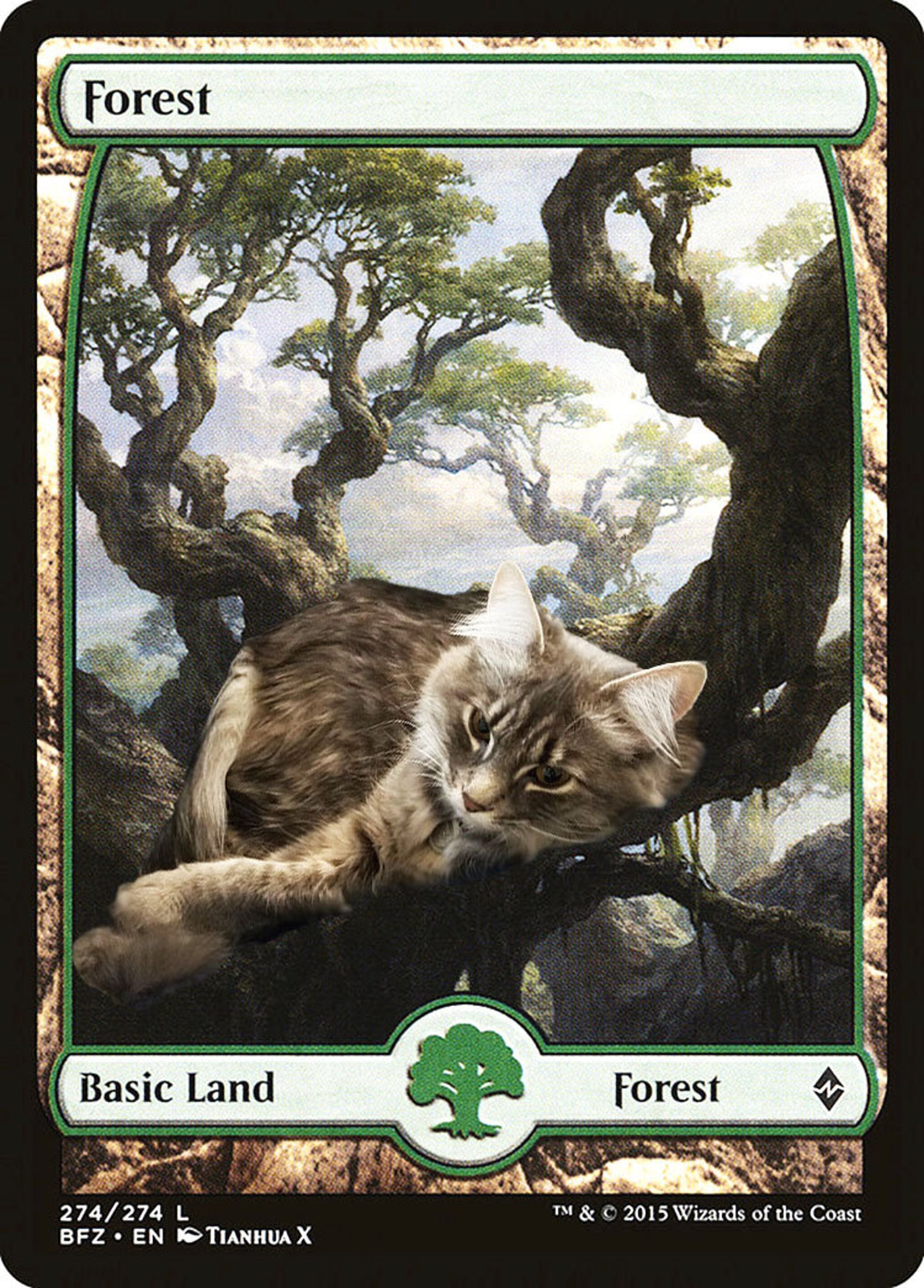 Personalized Pet Magic the Gathering Foil Land - Etsy
