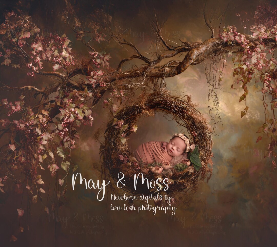 Dusty Pink Fall Nest of May | Fine Art Digital Newborn Background ...
