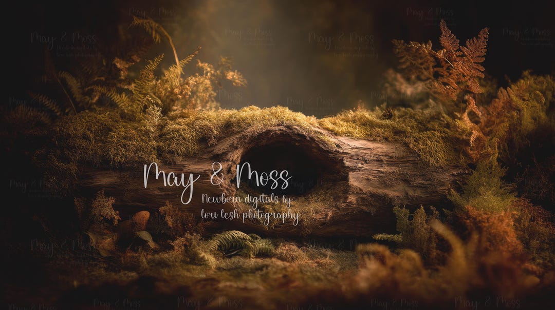 May’s Open Moss Log Collection – 4 Fine Art Digital Newborn Backgrounds, Woodland Forest Moss ...