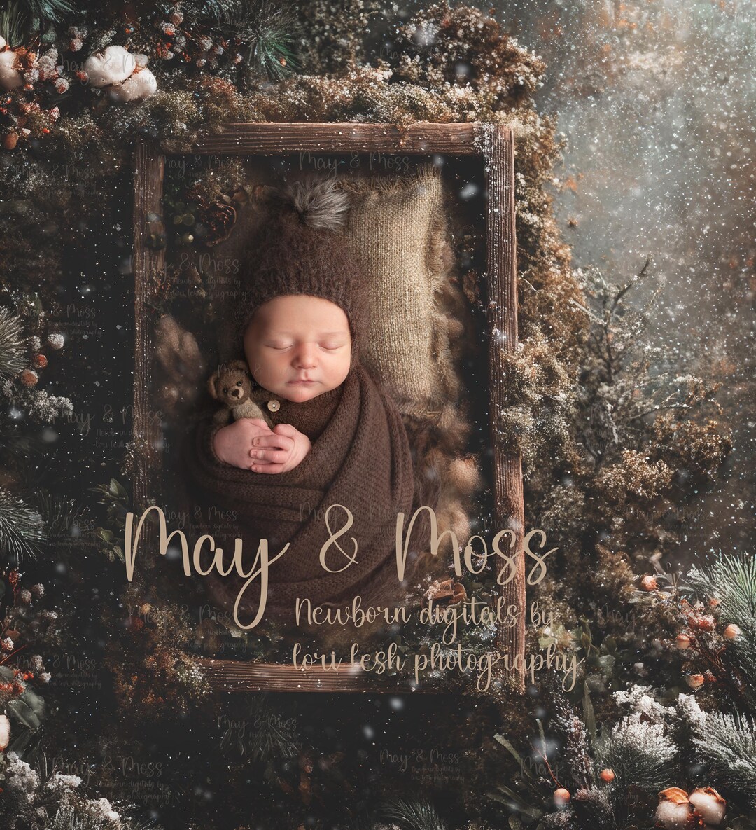 May’s Cocoa Moss Winter Bed | Winter Newborn Digital | May and Moss ...