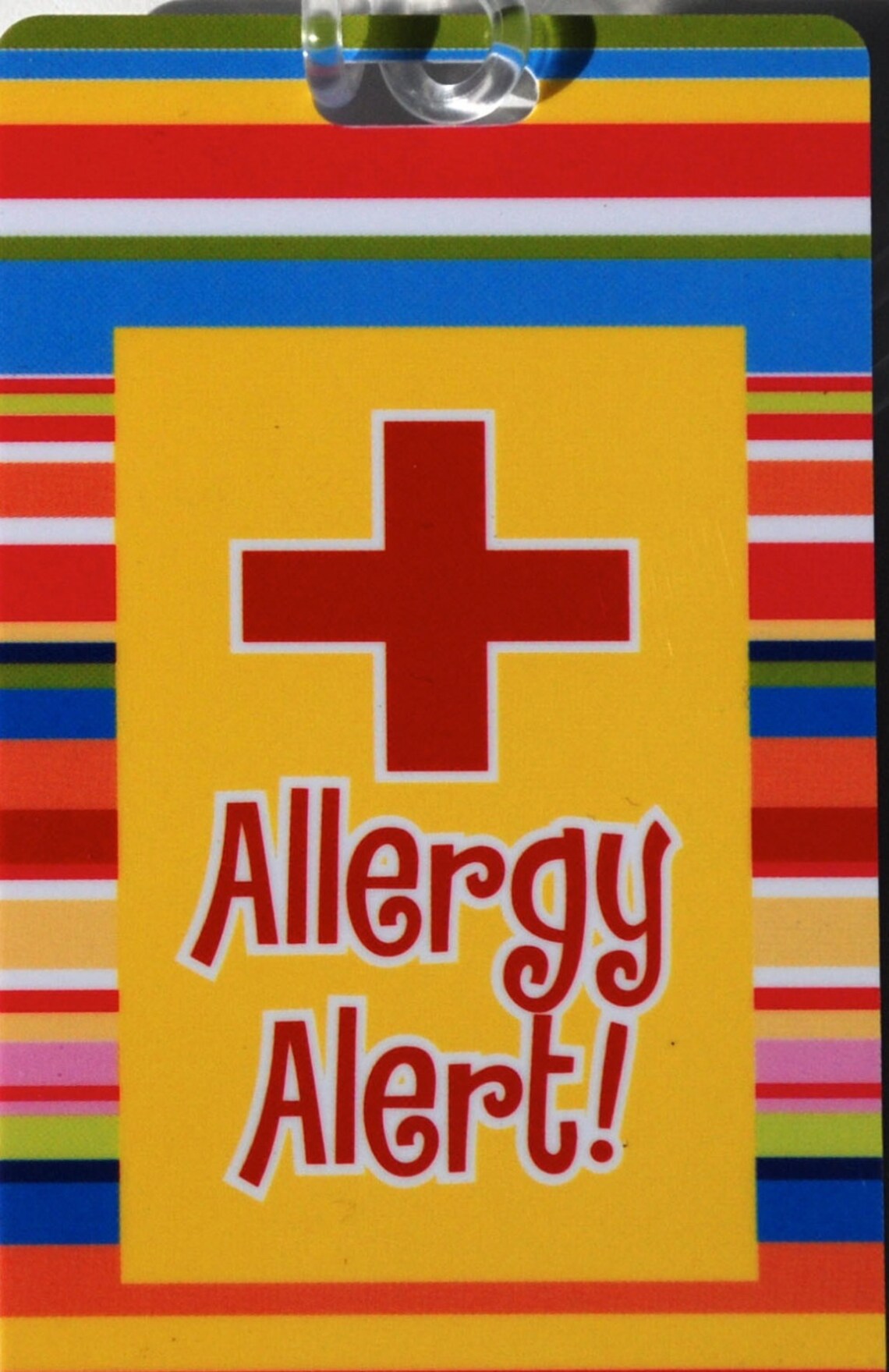 Allergy Alert Kit 1 Medicine Bag 1 Lunchbox Tag 1 Luggage - Etsy
