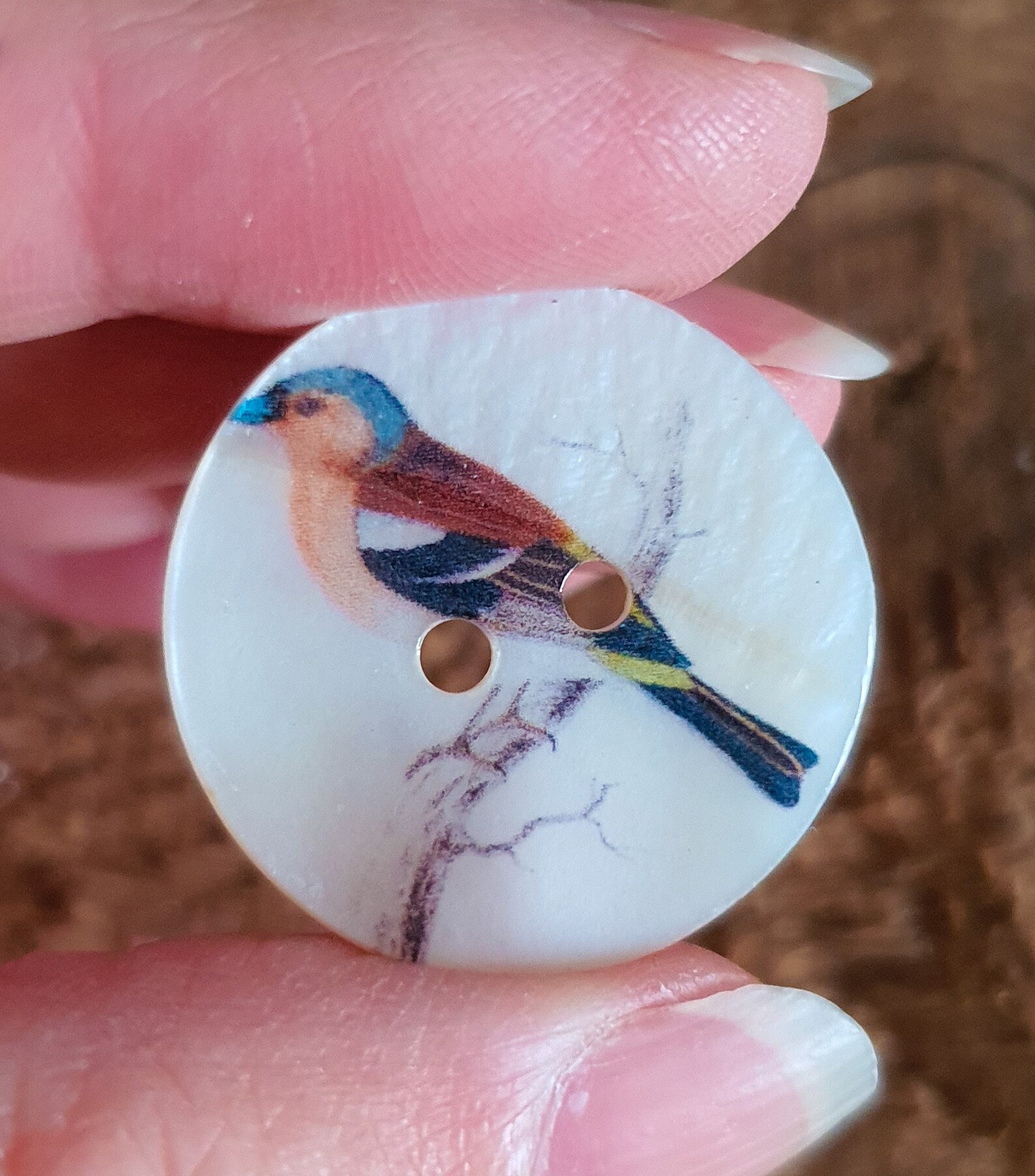 Bird Buttons 25mm Shell Button British Garden River - Etsy UK