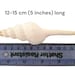 Tibia Spindle Sea Shells White Tibia Shell Long Pointy Shells Shabby ...