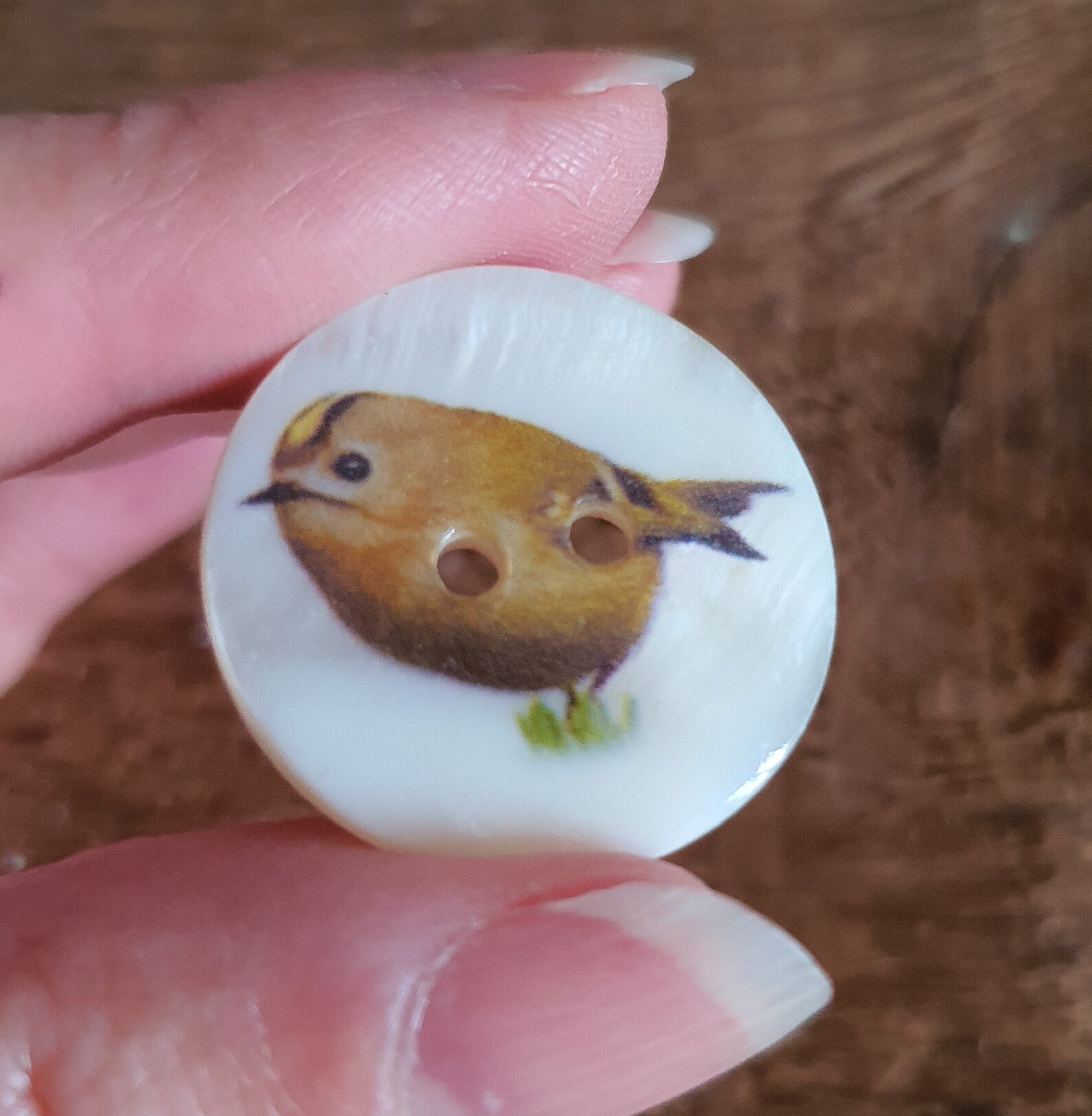 Bird Buttons 25mm Shell Button British Garden River - Etsy UK