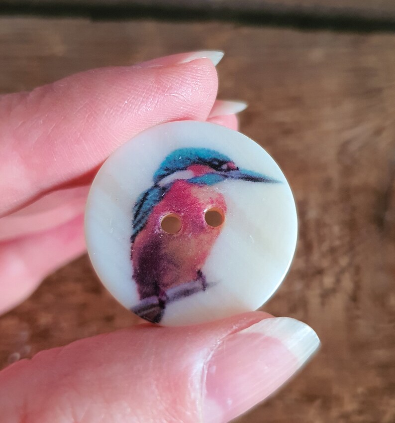 Bird Buttons 25mm Shell Button British Garden River - Etsy UK