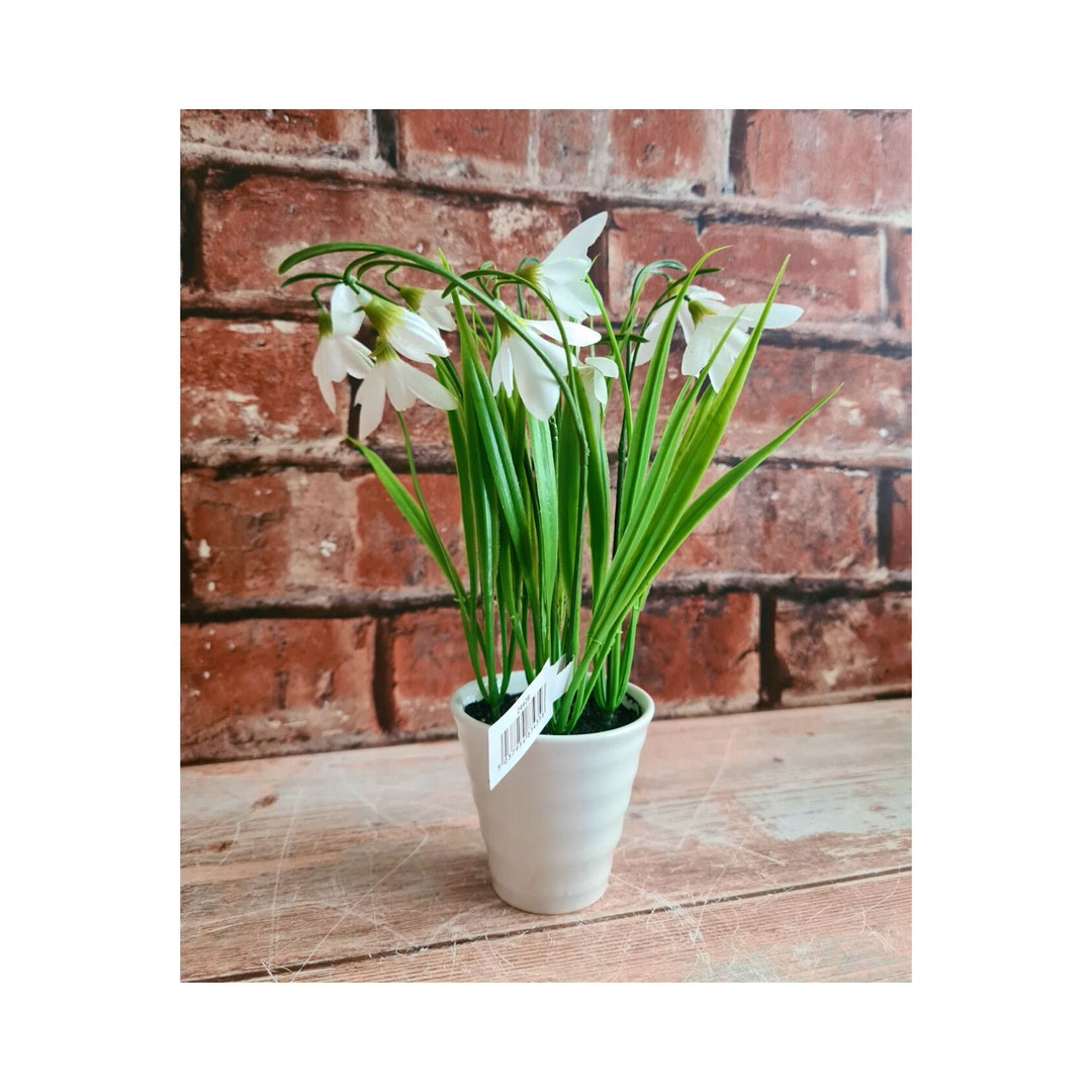 Faux Snowdrops in Ceramic Pot / Spring Flowers / SNOWDROPS / - Etsy