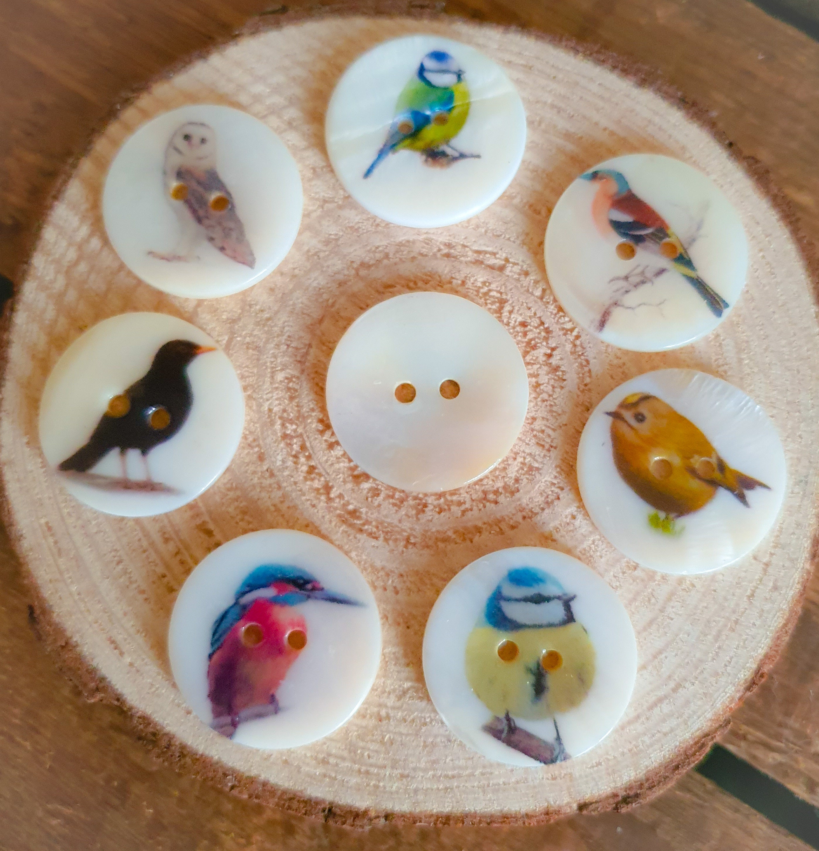 Bird Buttons 25mm Shell Button British Garden River - Etsy UK