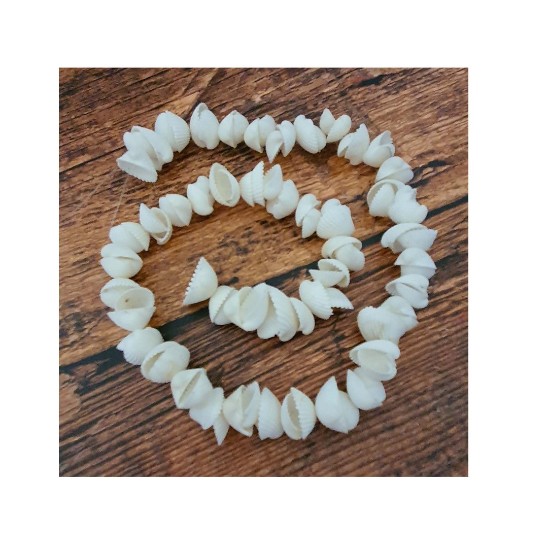 Cockle Shell Bead Garland 50cm / Drilled Small Sea Shell Beads ...