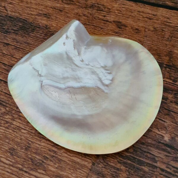 Pearl Plate - Etsy