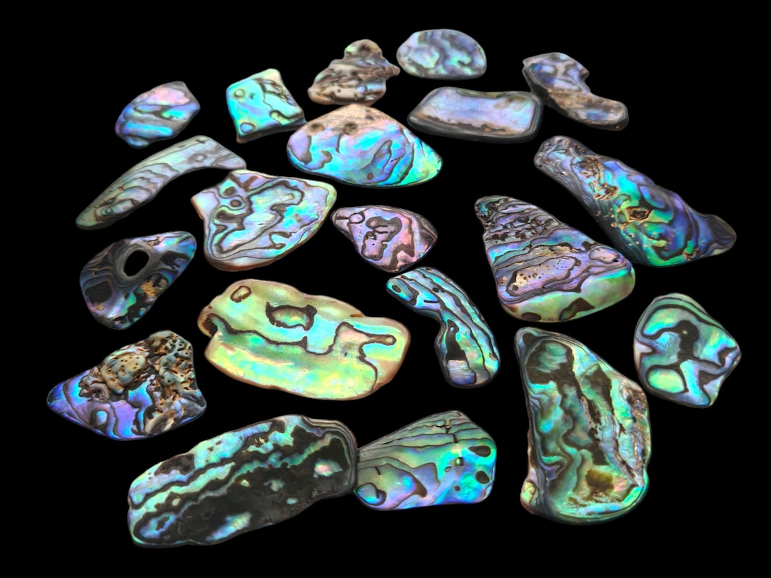 Abalone Paua NZ Shell Pieces 40g / Approx 20 Pcs of Irregular Shape ...