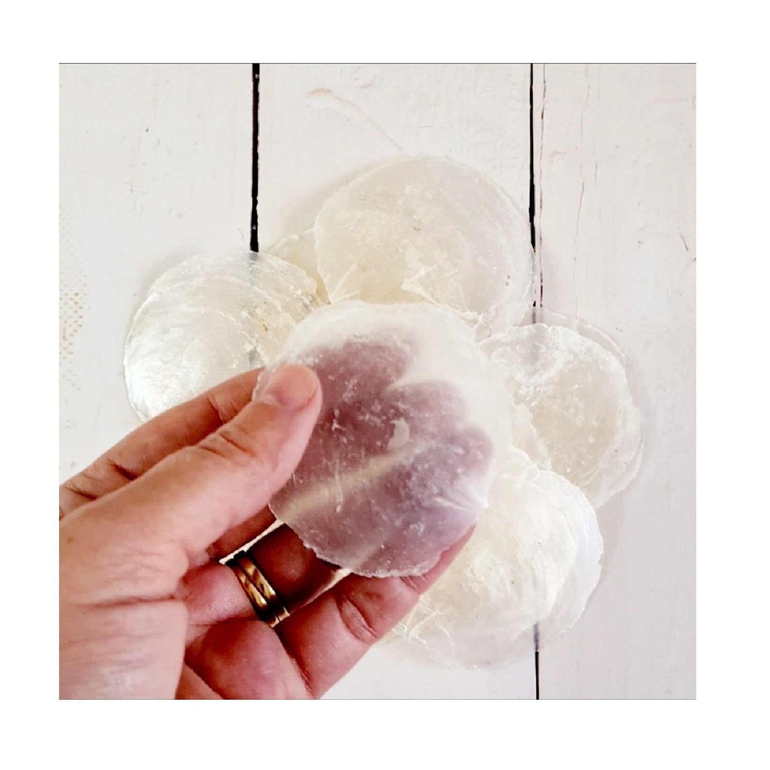 Natural Capiz Shells / Raw Rough Edge Cream White Camar Shells - Etsy UK