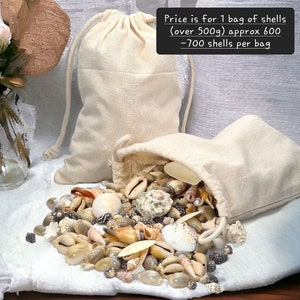 BULK Mixed Small Seashells 500 G (1.1 Lb) Large Bag of Natural Colorful ...