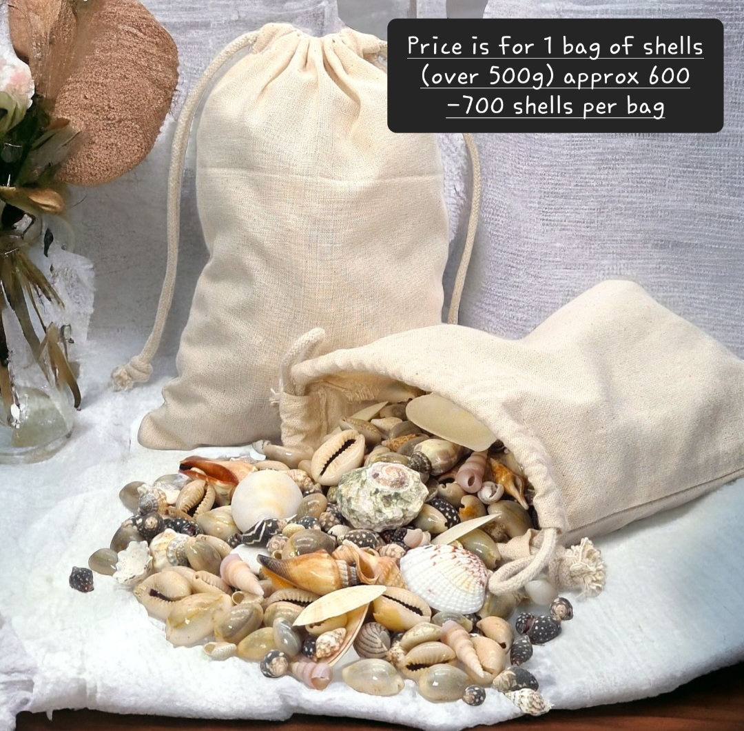 BULK Mixed Small Seashells 500 G (1.1 Lb) Large Bag of Natural Colorful ...
