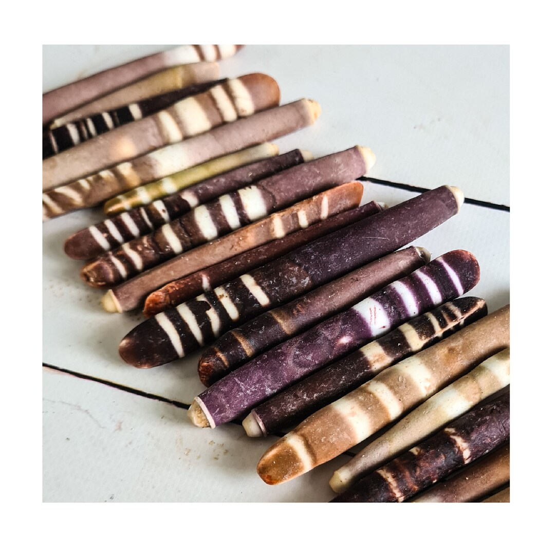 Urchin Pencils / Sea Urchin Spines / Sea Urchin Wands / Jewelry or ...