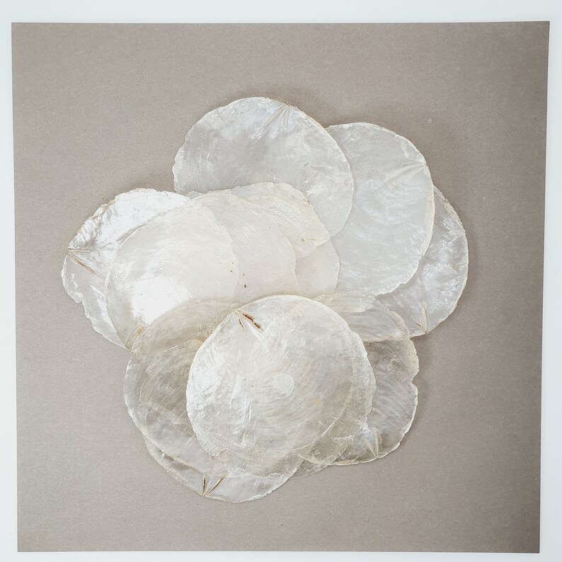 Natural Capiz Shells / Raw Rough Edge Cream White Camar Shells - Etsy UK