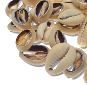 Real Cowrie Shells / Cut Ready for Jewelry Making & Crafts / Shells ...