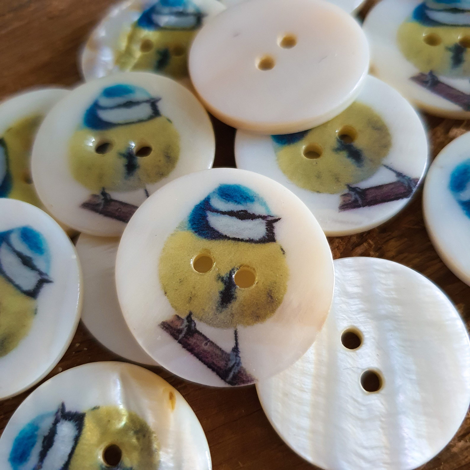 Bird Buttons 25mm Shell Button British Garden River - Etsy UK