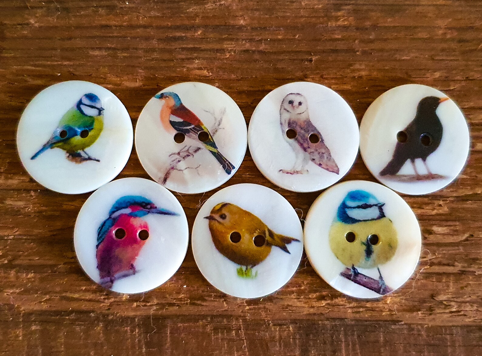 Bird Buttons 25mm Shell Button British Garden River - Etsy UK