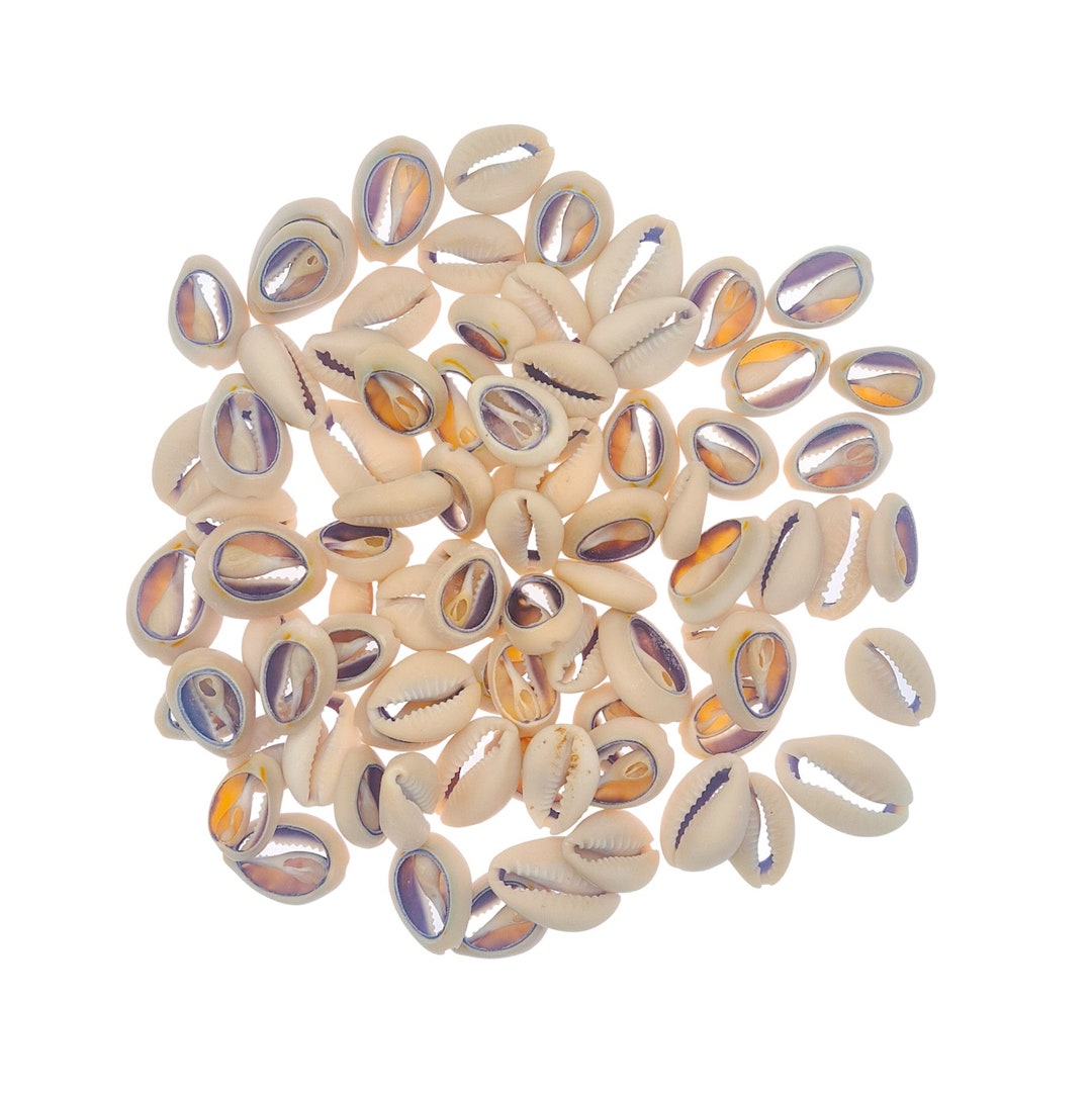 Real Cowrie Shells / Cut Ready for Jewelry Making & Crafts / Shells ...